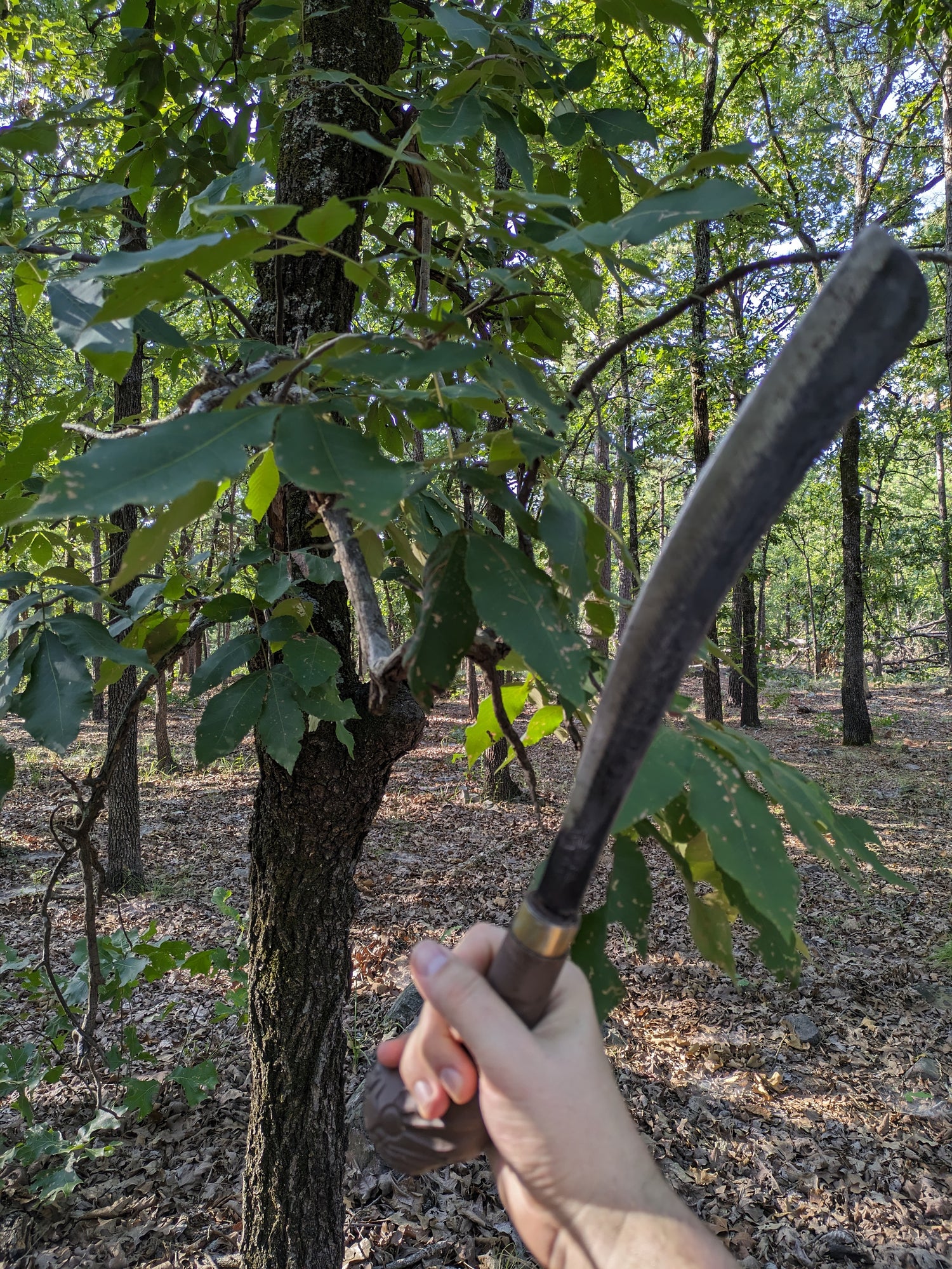 Campfire Blog – Bodark Parangs